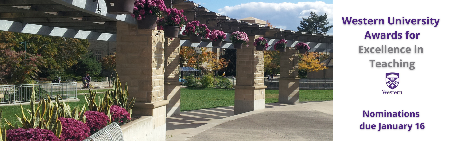 Centre for Teaching and Learning - Western University